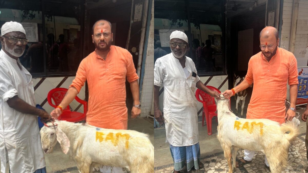 Sacrificial Goat With 'RAM' Written On It Goes Viral On Social Media; 3 ...