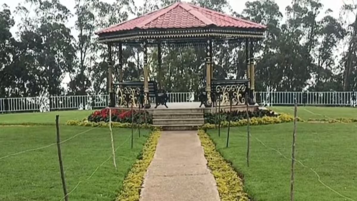 Why Ooty's Tea Gardens Are A Must-visit | India News - News18