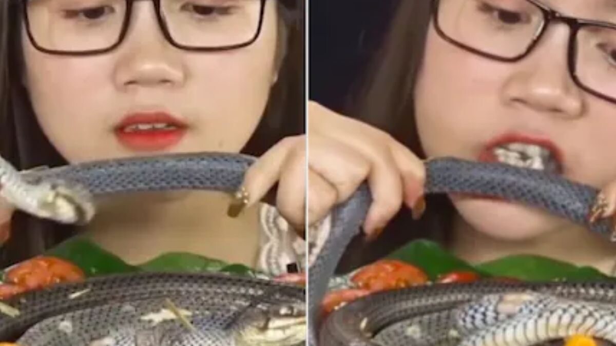 Horrifying Clip Of A South Korean Girl Eating Snake Alive Will Disgust ...