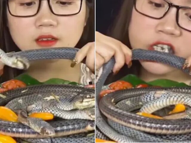 Horrifying Clip Of A South Korean Girl Eating Snake Alive Will Disgust ...