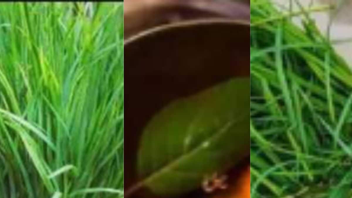 Switch To Garike Kashaya Instead Of Your Regular Tea To Boost Immunity ...