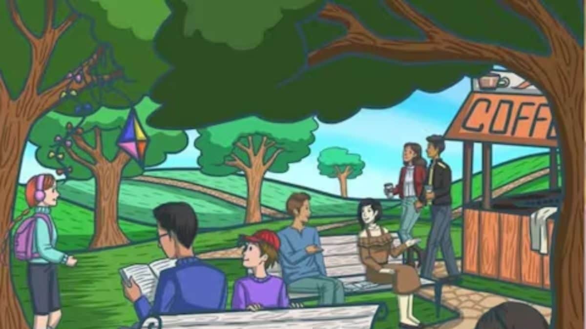 Spot The Hidden Newspaper In This Park. You Have 5 Seconds | Viral News ...