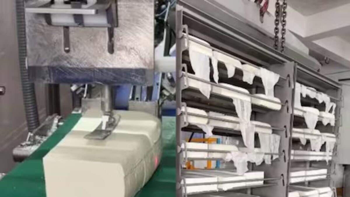Watch: Ananda Dairy's Automated 'Hygienic' Paneer Production In Factory ...