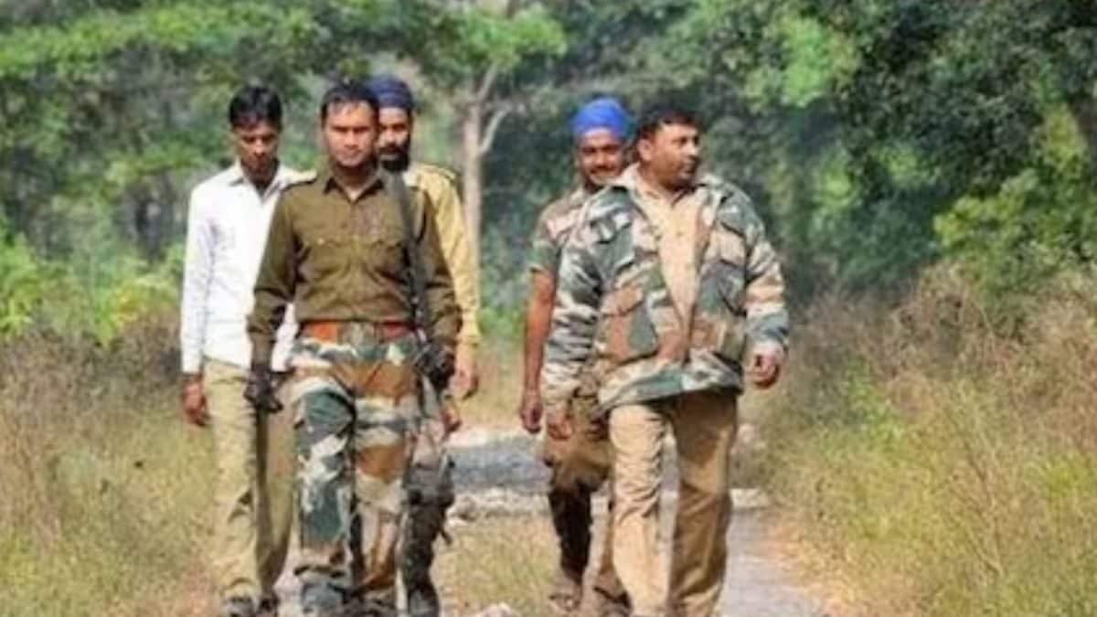 Applications Invited For 1,484 Chhattisgarh Forest Guard Posts ...