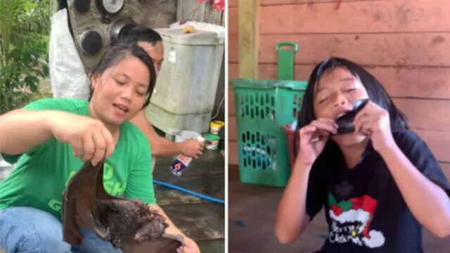 Internet Isn’t Happy With This Viral Video Of Woman Cooking Bat Soup ...