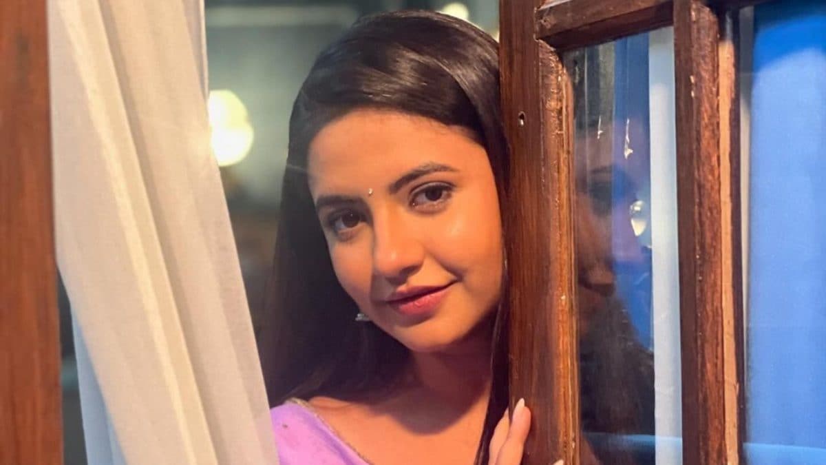 Meera Deosthale Alleges Non-Payment of Dues By Makers of TV Show Vidya: 'I Exhausted My Savings ...