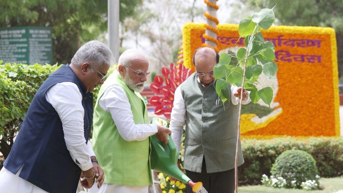 On World Environment Day, PM Modi Launches 'Ek Ped Maa Ke Naam ...