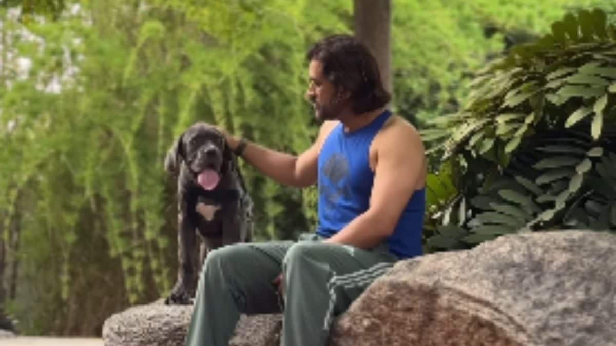 Watch: MS Dhoni Gets The Sweetest Father’s Day Surprise From Daughter ...