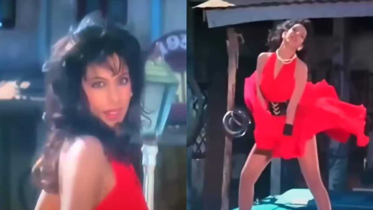 Farah Khan Reveals Pooja Bedi's Skirt Scene Went Wrong in Pehla Nasha: 'First Time I Saw a Thong ...