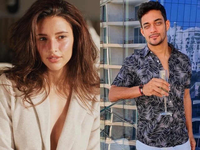 Triptii Dimri Drops Pics from Her Secret Holiday With Rumoured ...