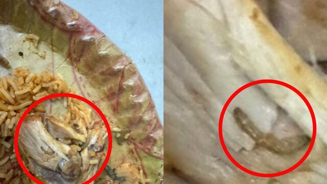 Man Orders Biryani From Restaurant in Hyderabad, Finds Bugs in Chicken ...