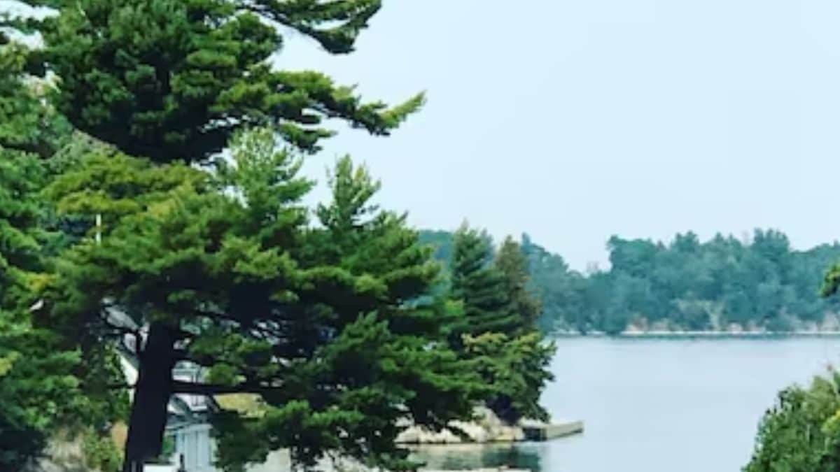 This 32-foot Long Bridge On Canada's Zavikon Island Is This Shortest In ...