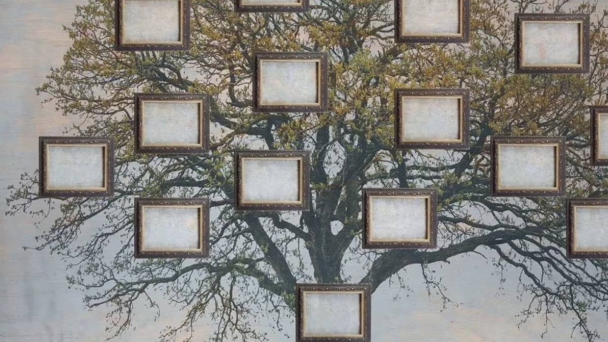 Pakistani-Canadian Woman Shares Her Family Tree Tracing Roots To The ...