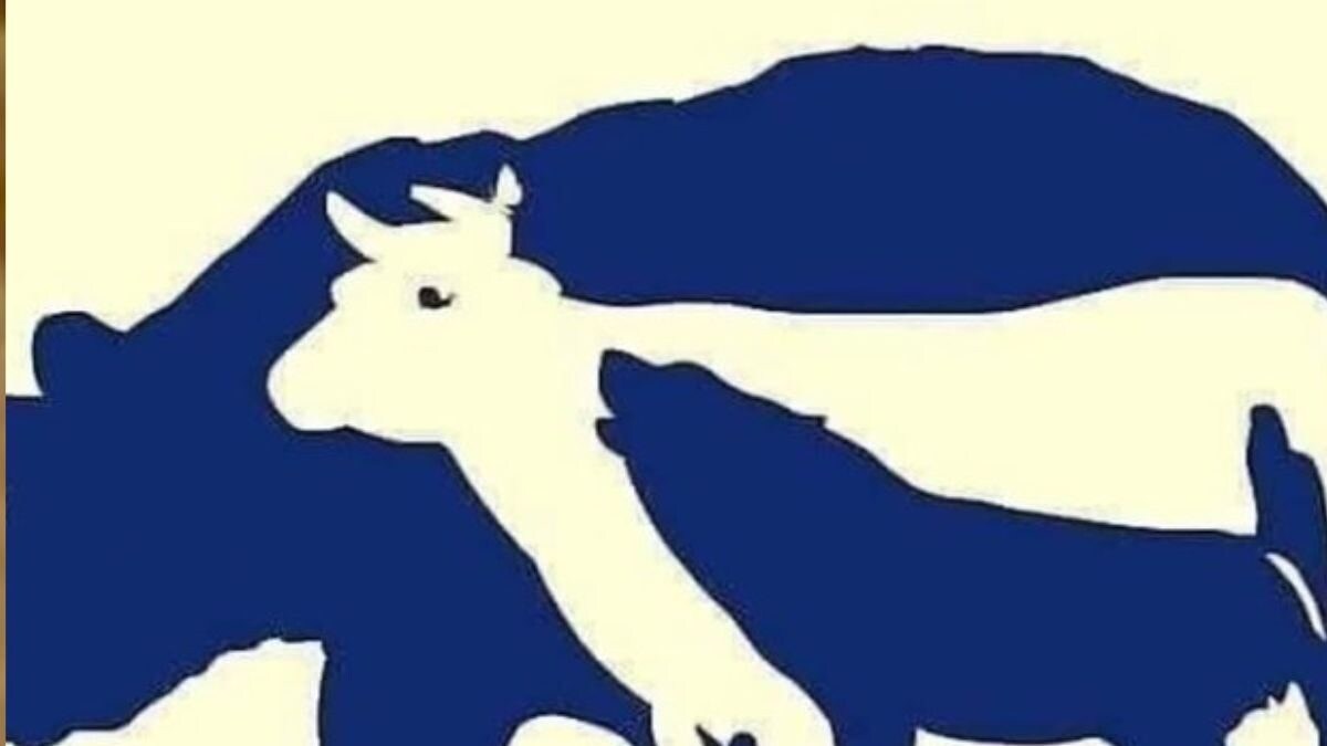 Brain Teaser Alert: How Many Animals Can You Spot In This Classic ...