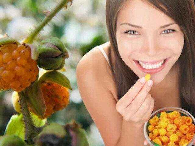 5 Medicinal Properties Of This Elusive Fruit From Uttarakhand You ...