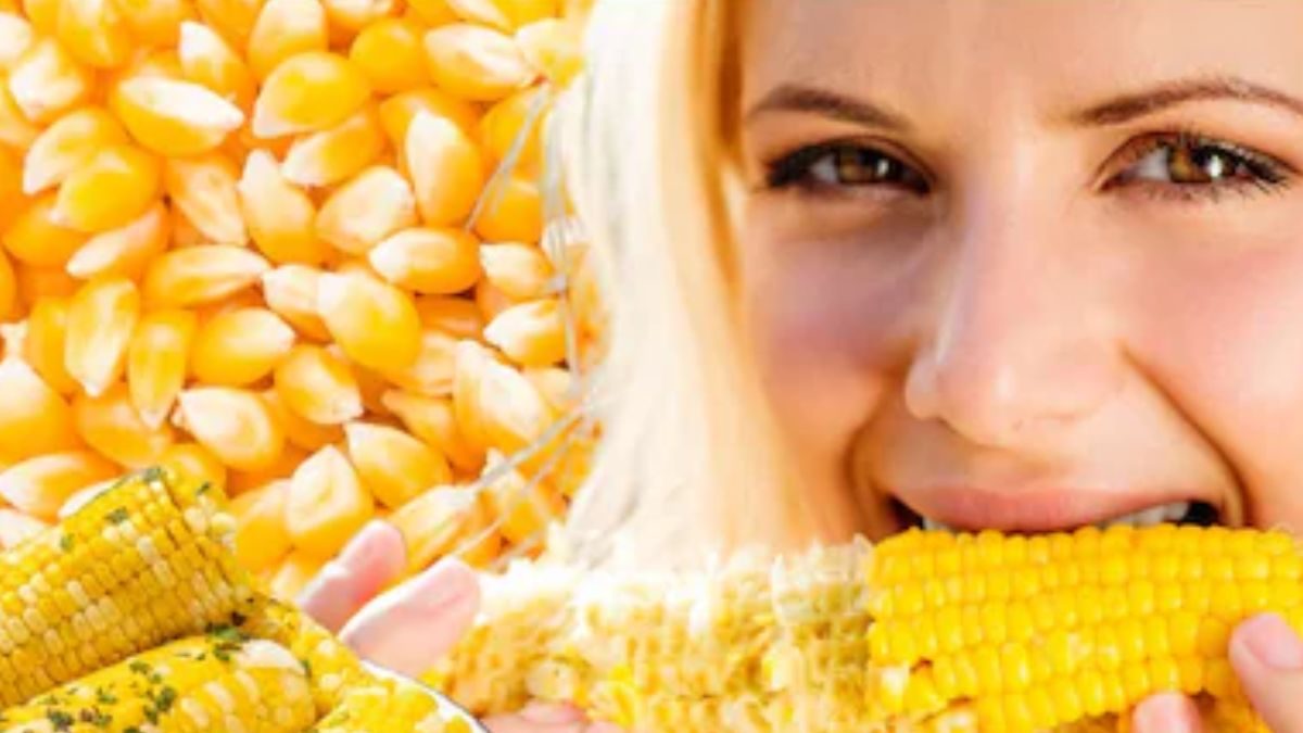 Improved Gut To Weight Loss, 5 Health Benefits Of Eating Corn ...
