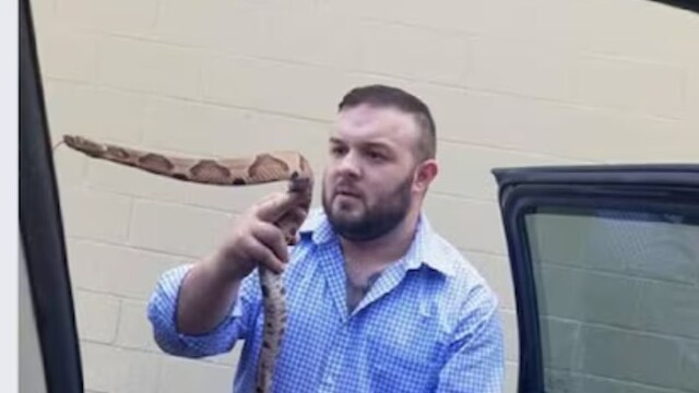 Pastor Who Claimed Immunity To Snake Venom Dies After Rattlesnake Bite ...