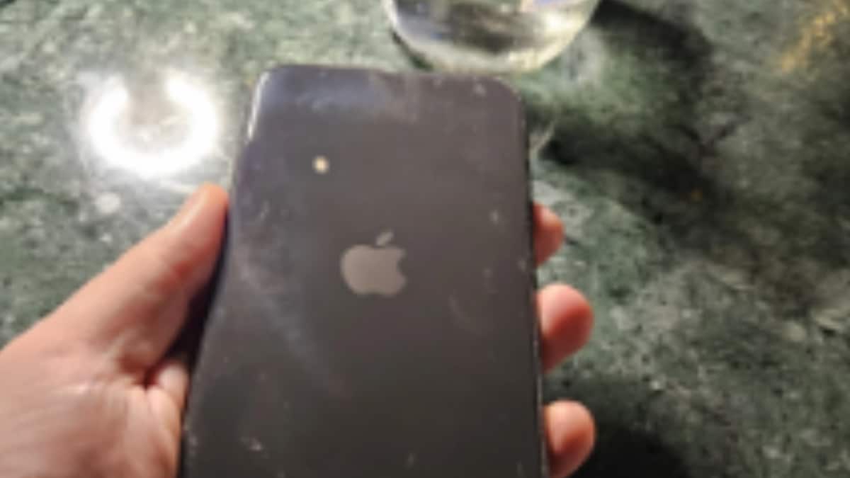 Reddit User Claims This Camera-Less iPhone Is Used At Nuclear Power ...