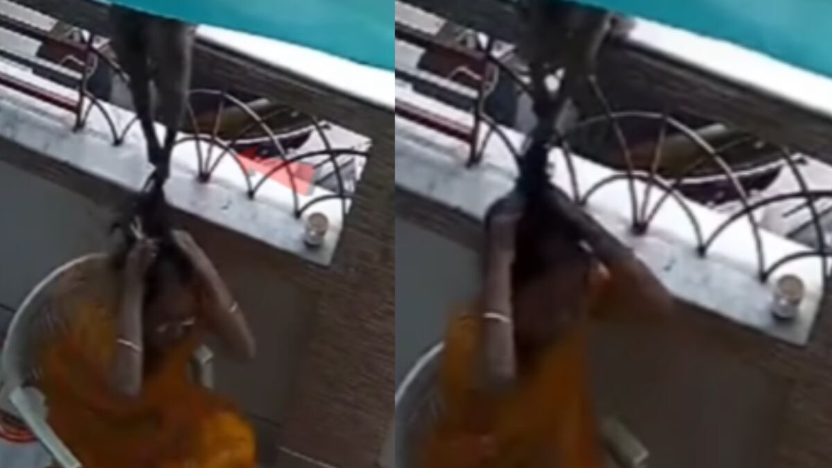 Viral Clip Of Monkey’s Attack On Woman Will Send Chills Down Your Spine ...