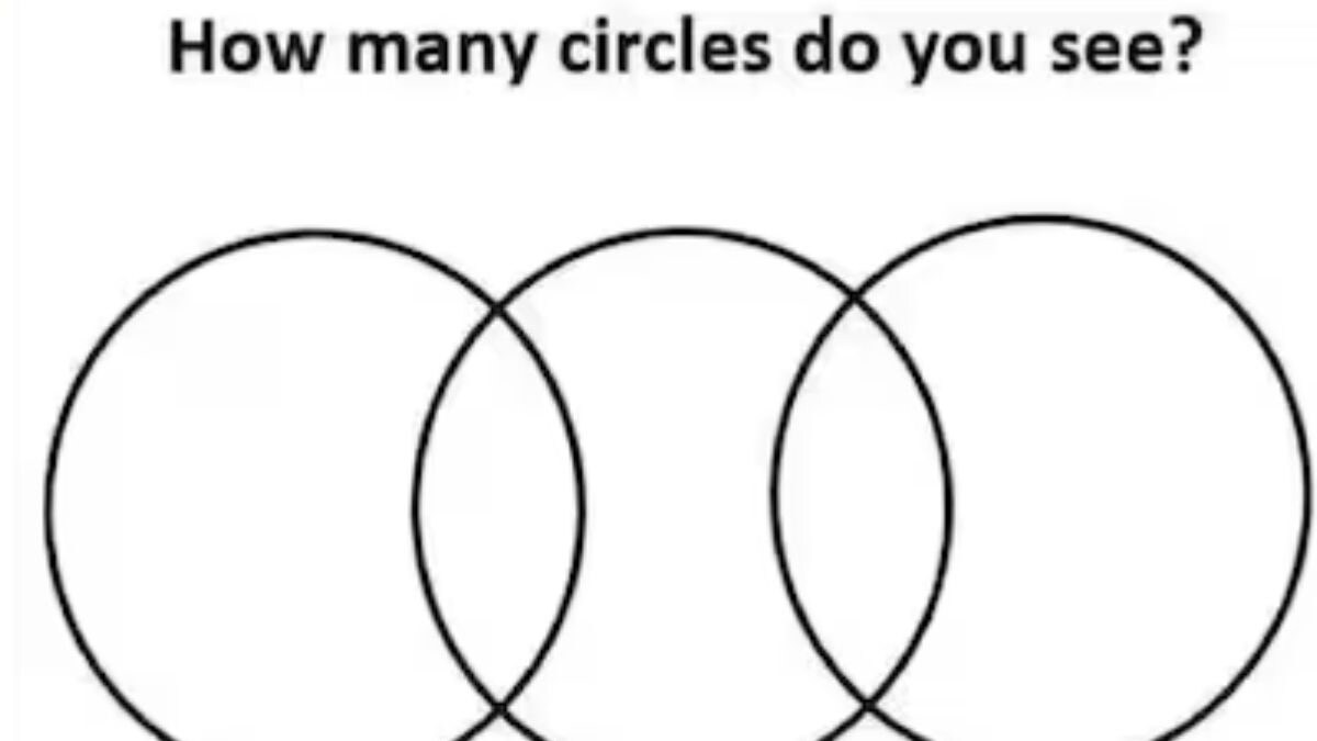 Can You Count The Total Circles In This Optical Illusion? No Hints - News18
