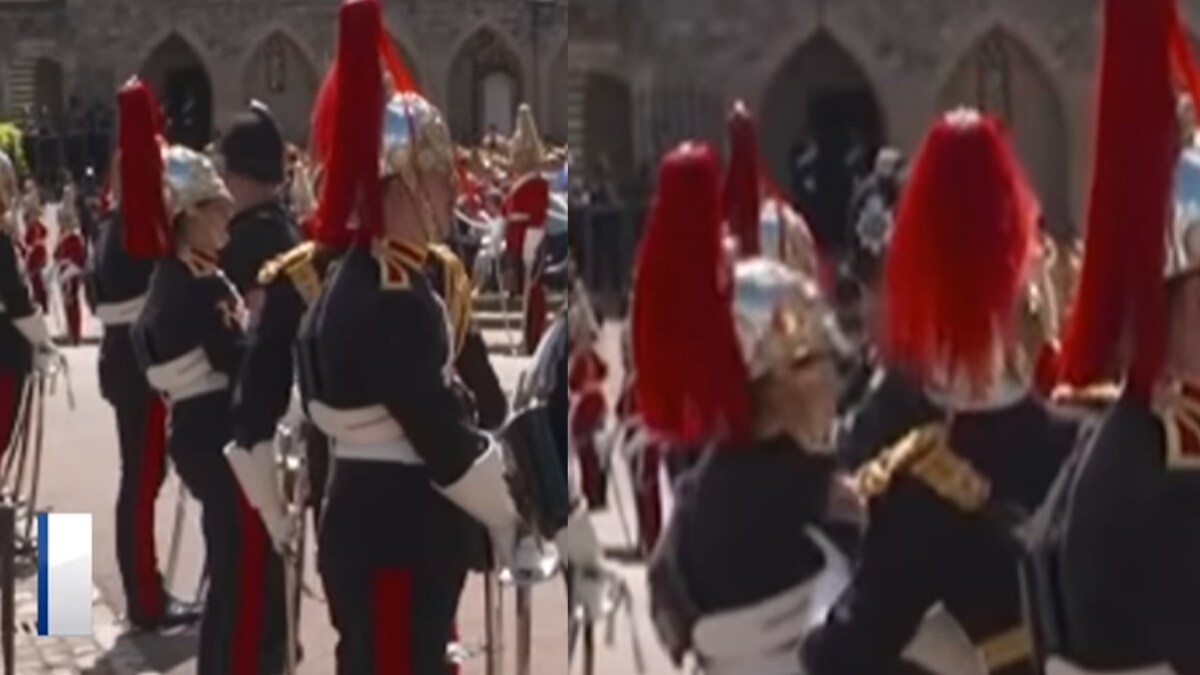 Watch: UK Royal Guard Faints Due To Intense Heatwave | Viral News - News18
