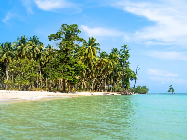 Nearly 9.6 Lakh Trees To Be Felled for Great Nicobar Island Project ...