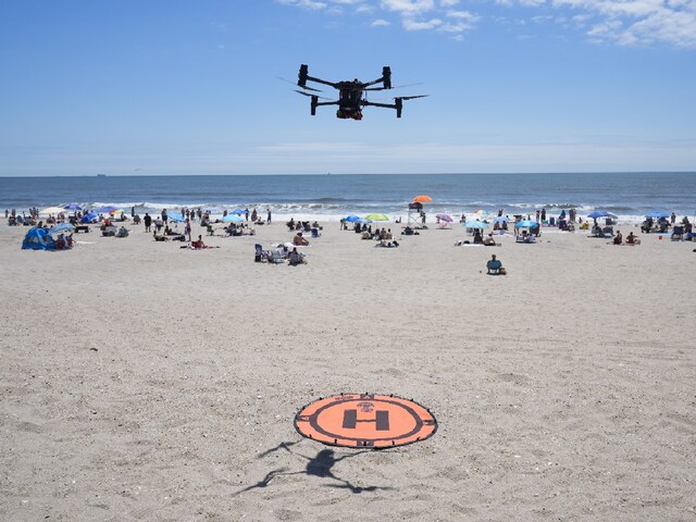 Angry Birds Attack Drones That Patrol New York Beaches For Sharks And ...