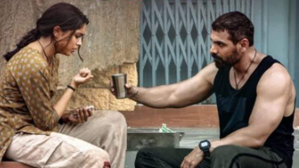 Vedaa: Sharvari Wagh Drops New Poster From Film, Expresses Gratitude To ...