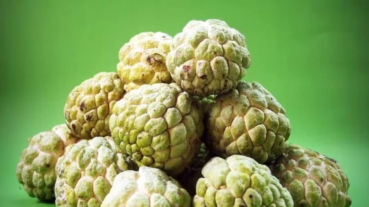 Boosting Immunity To Eye Health, 5 Benefits Of Custard Apple ...