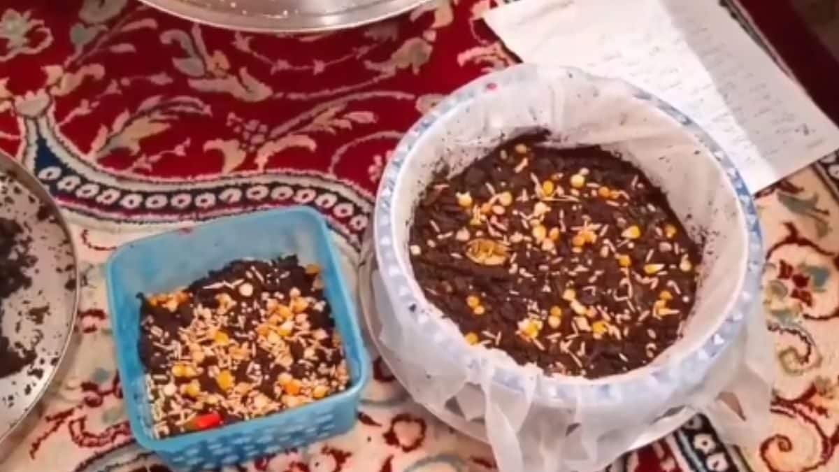 Harela Meala 2024: Dates To Rituals, All About Uttarakhand's Famous ...