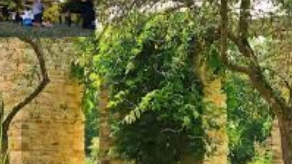 In Andhra Pradesh’s Srikakulam, Park Dedicated To Freedom Fighters Now ...