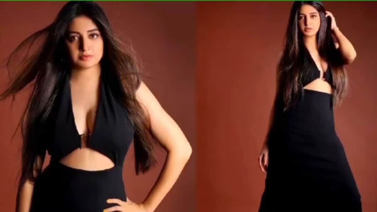 Actress Poonam Kaur Slays Traditional Look In Multicoloured Chiffon Saree | Movies News - News18