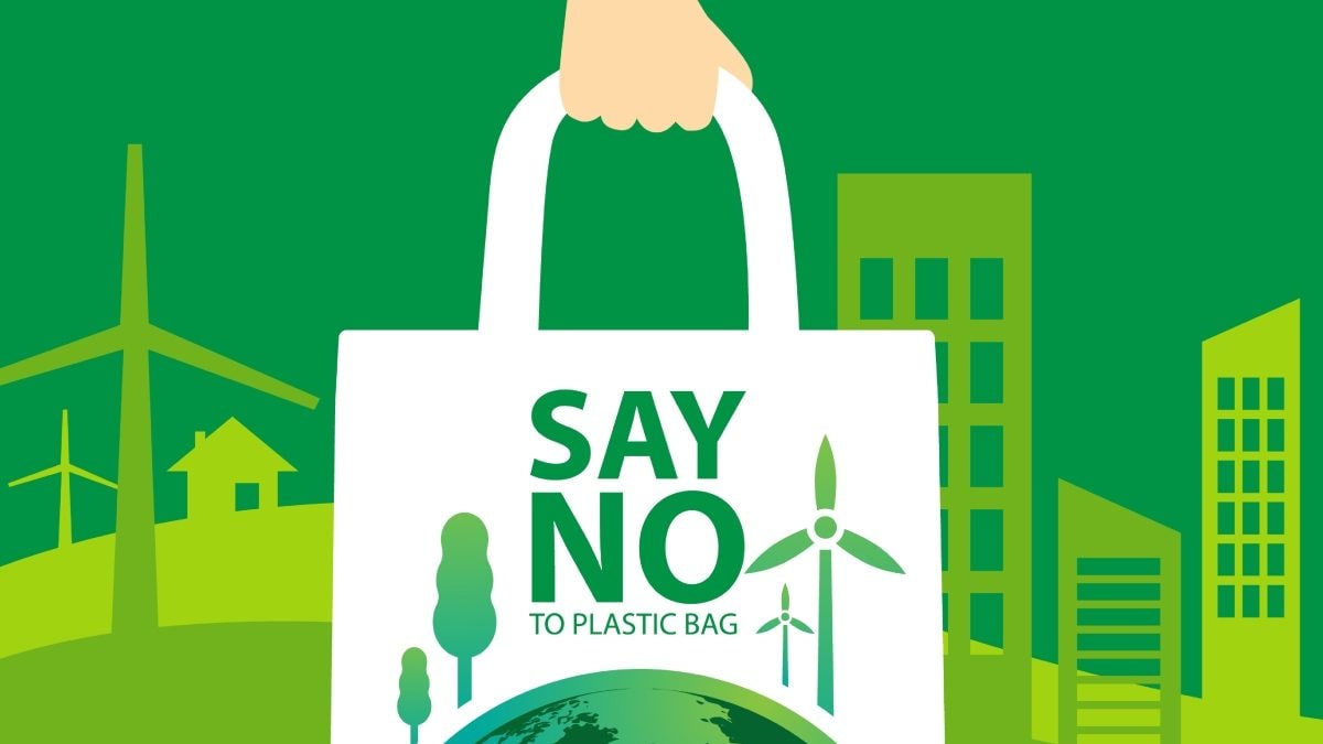 Paper Bag Day 2024: Theme, History, Facts, Wishes, Quotes, and Messages ...