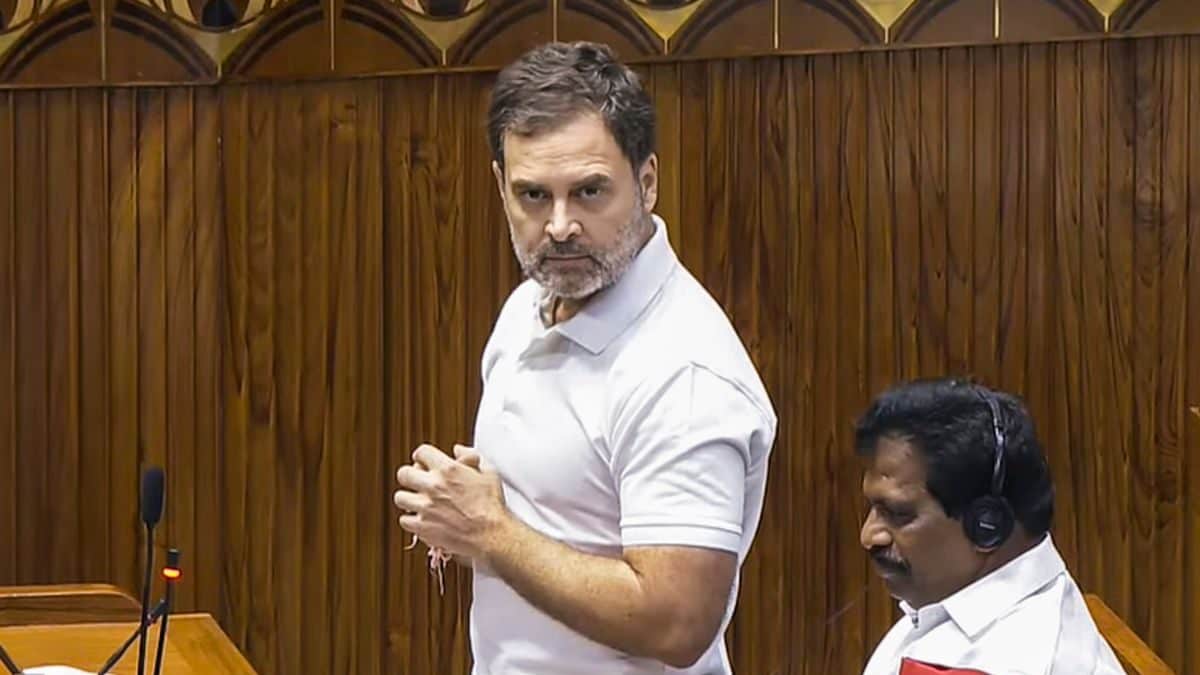 CBI Probe Initiated Into Rahul Gandhi's Citizenship, Delhi HC Told ...