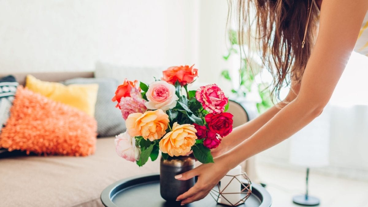 Colour Palettes for the Monsoon: Fresh and Vibrant Interior Design ...