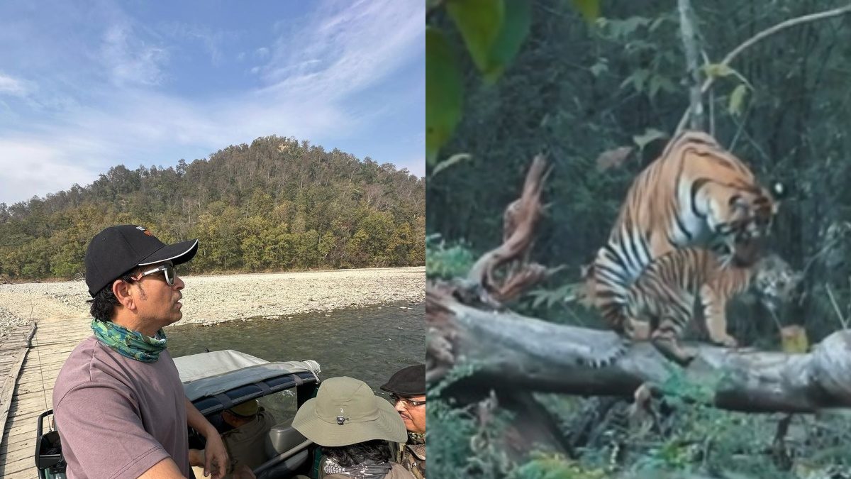 On International Tiger Day 2024, Sachin Tendulkar Urges People to ...