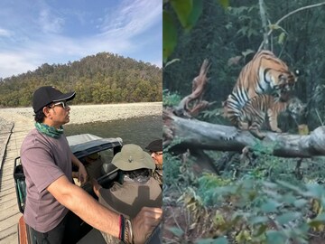 On International Tiger Day 2024, Sachin Tendulkar Urges People to ...