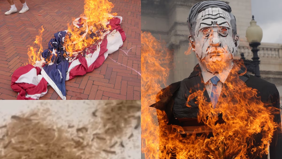 Watch: Anti-Israel Protesters Burn US Flags, Unleash Maggots, Clash ...