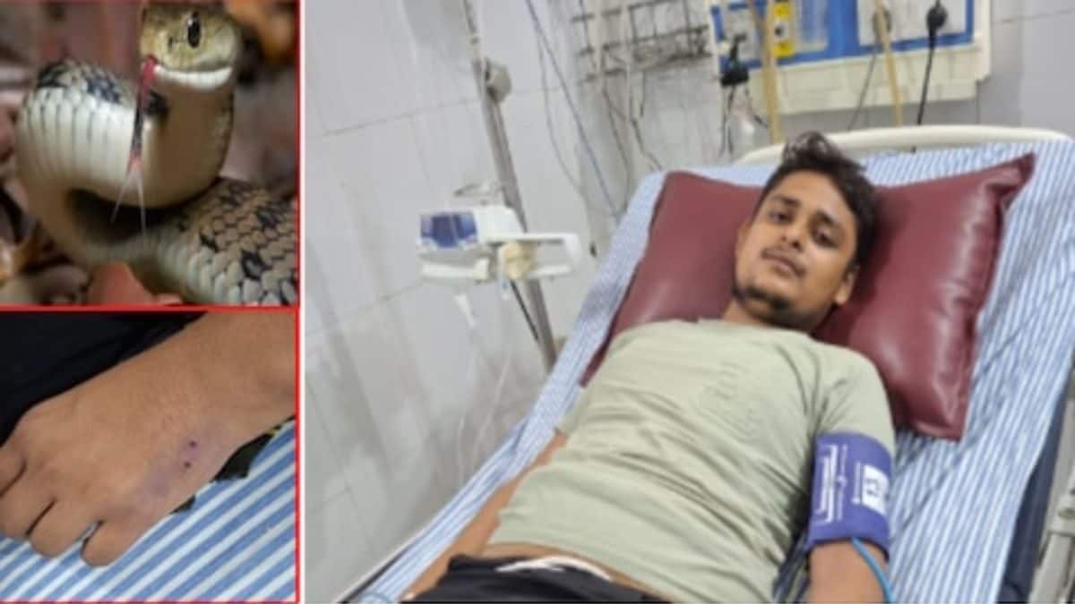 Man Miraculously Survives After Being Bitten by Snake 6 Times in Six ... Man Miraculously Survives After Being Bitten by Snake 6 Times in Six ...