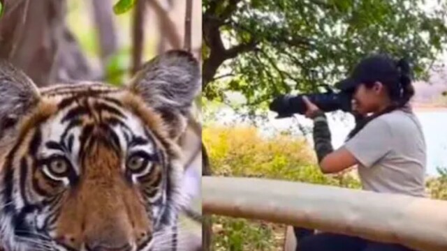 Silver Screen To Jungle Scenes, Sadha Sayed's New Wildlife Photography ...