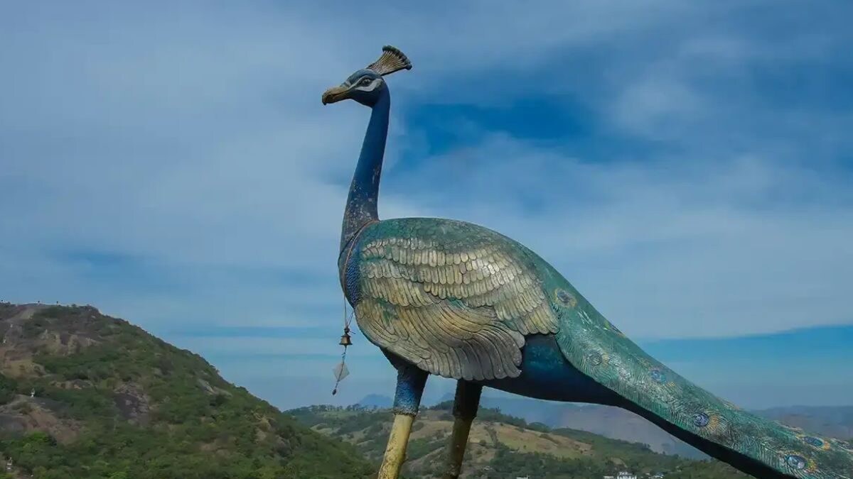 In Kerala's Vagamon, Jeep Rides To Murugan Mala Resume For Devotees ...