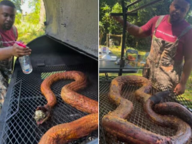 Influencer Faces Backlash For Cooking And Eating 12-foot Python In Viral Video - News18