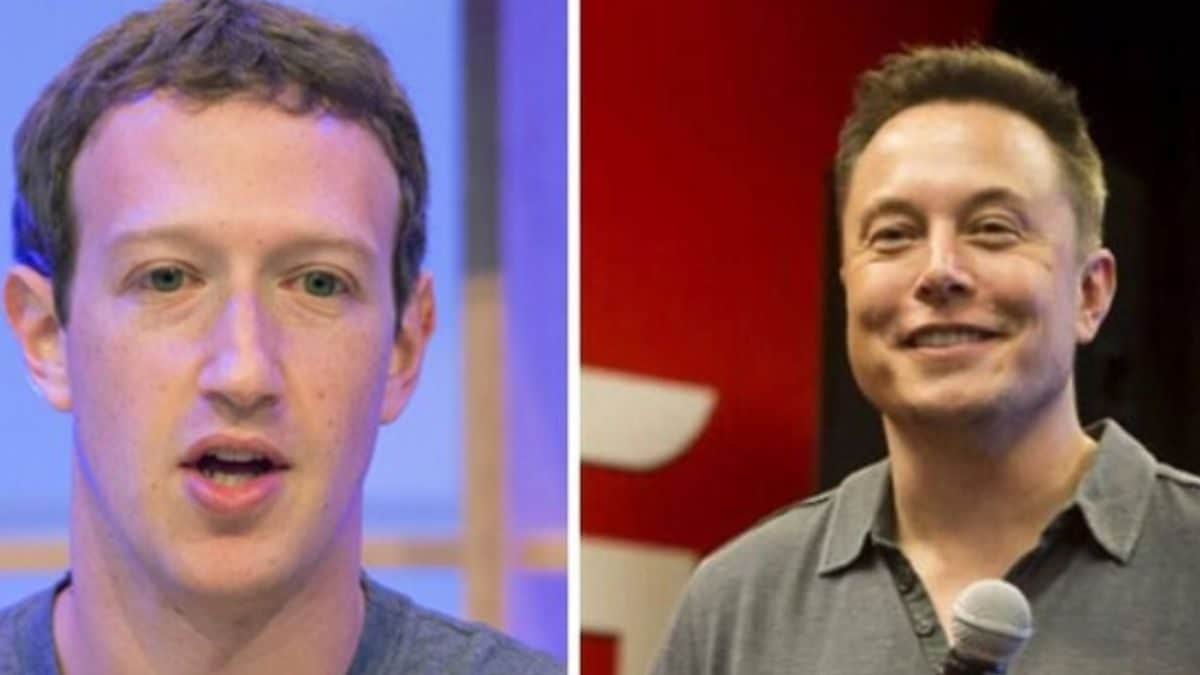 Elon Musk Mocks Mark Zuckerberg’s Surfing Video, Says 'I Prefer To Work ...