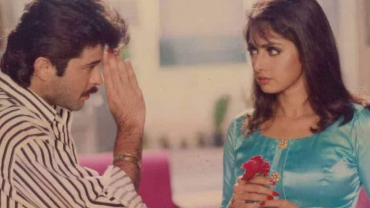 Not Sridevi, This Actress Was The First Choice For The 1994 Hit Film ...