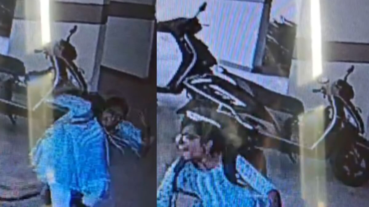 This Video Of Monkey Attacking Girl At Parking Lot Is Terrifying - News18
