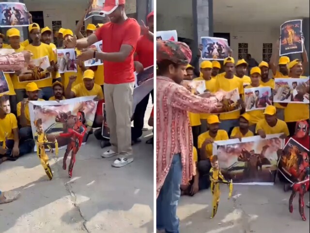 Marvel Fans In Jaipur Celebrate Deadpool & Wolverine With Unique Puppet ...