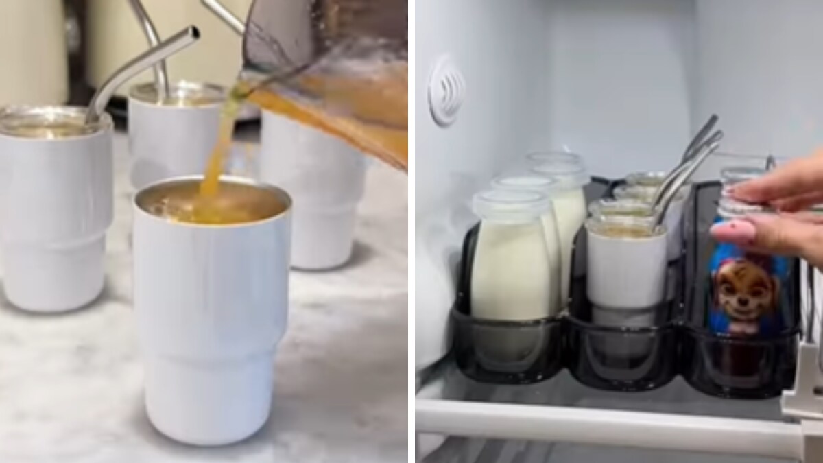 'Why Are You Lying?' Influencer Trolled For Misleading Fridge Restock ...