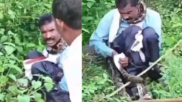 Watch: 15-foot-long Python Tries To Swallow Man Alive In MP, Villagers ...