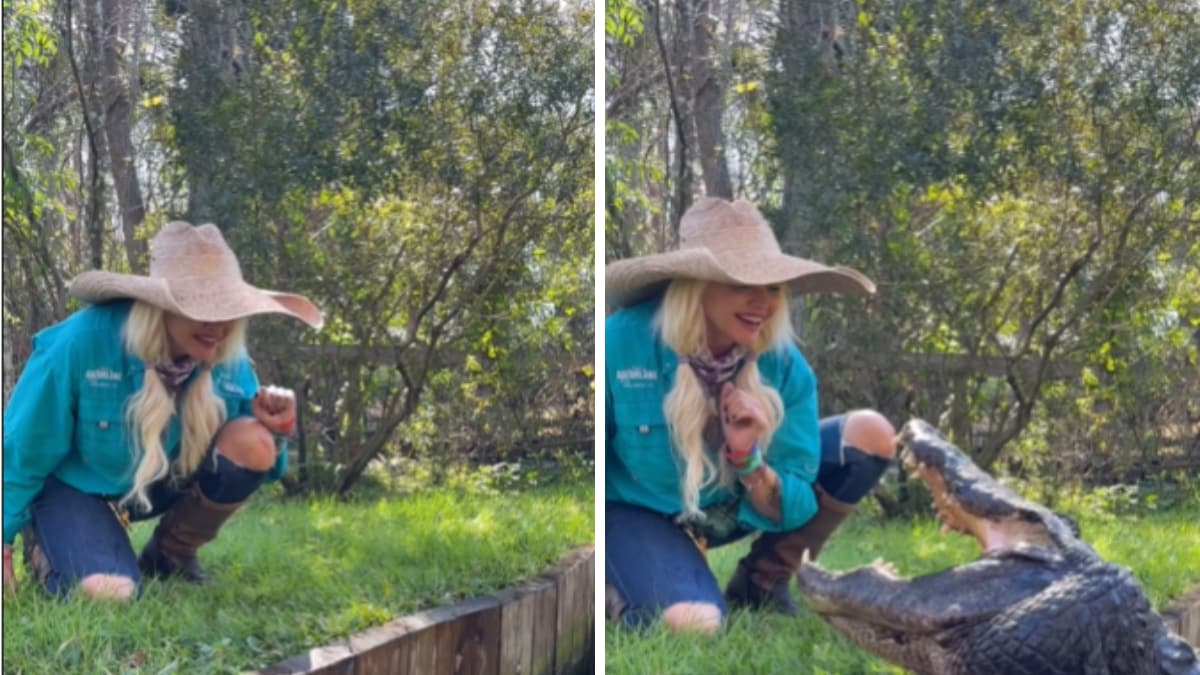 Viral Video Shows Woman Caressing An Alligator; Internet Worried About ...