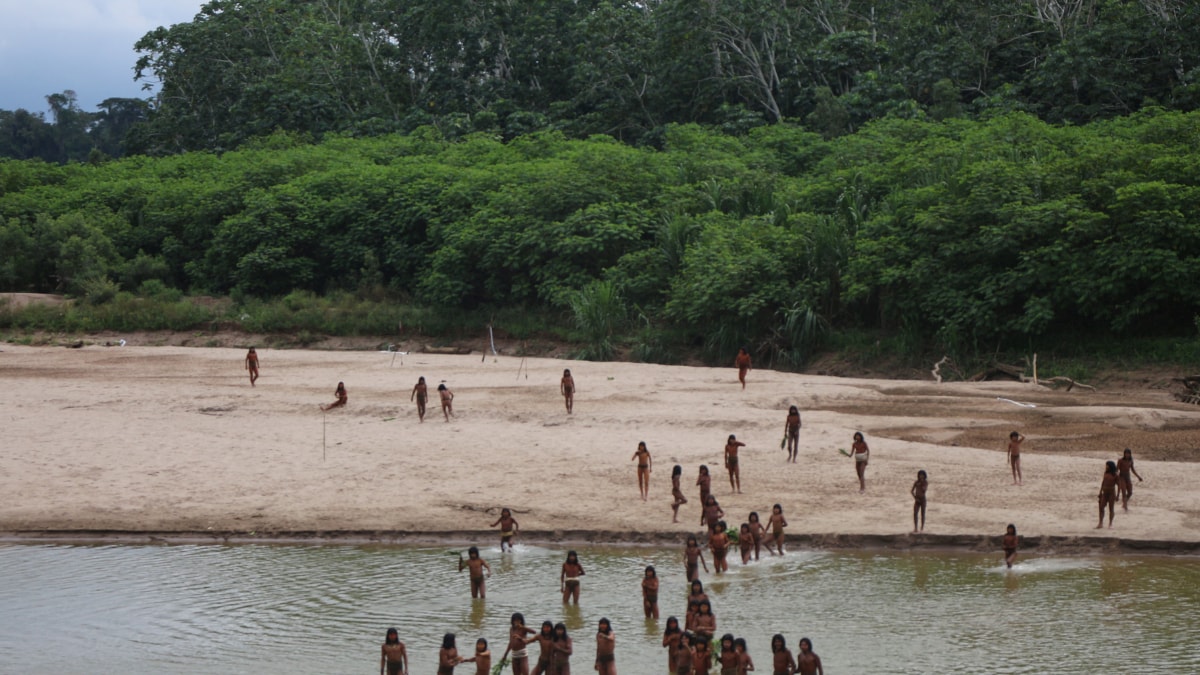 'Mashco Piro': Rare Photos Of World's Largest Isolated Tribe Raise ...